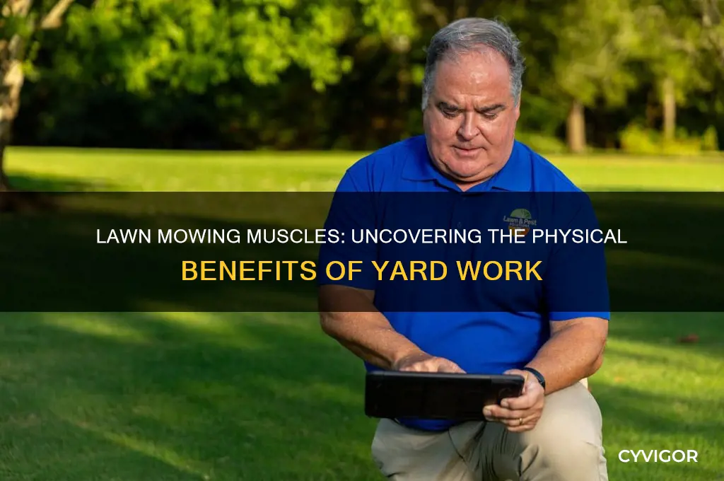 Lawn Mowing Muscles: Uncovering The Physical Benefits Of Yard Work ...