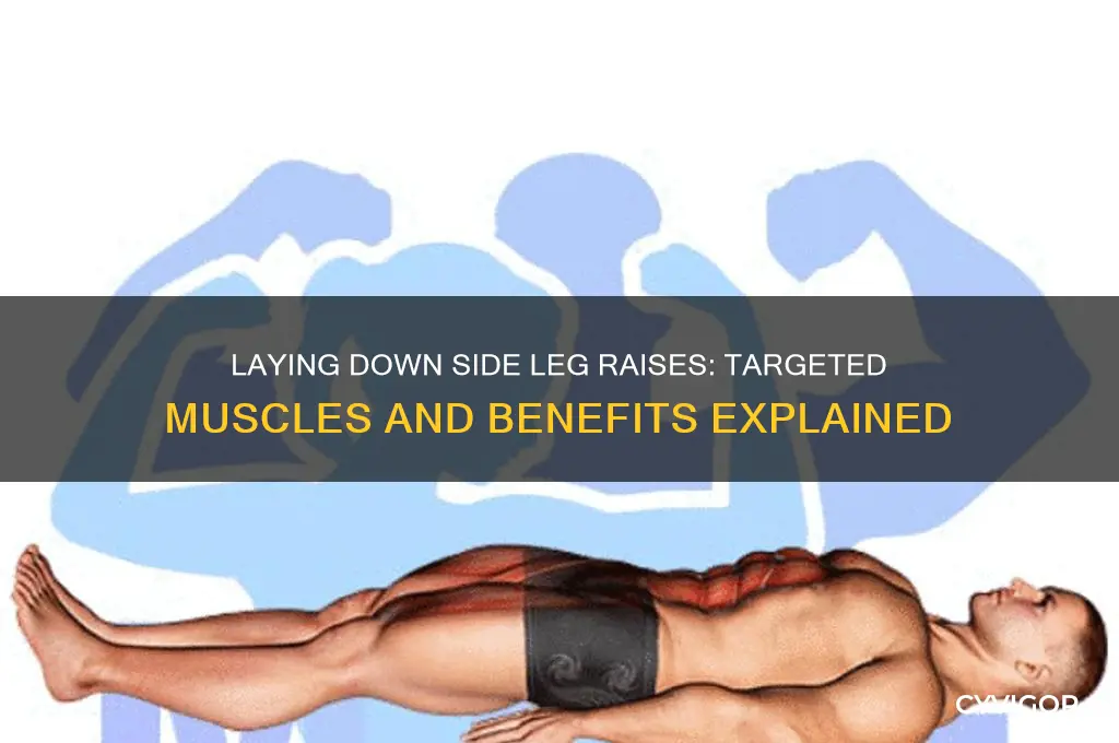 Laying Down Side Leg Raises: Targeted Muscles And Benefits Explained ...