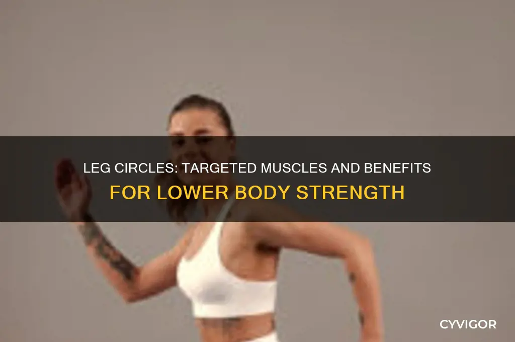 Leg Circles: Targeted Muscles And Benefits For Lower Body Strength ...