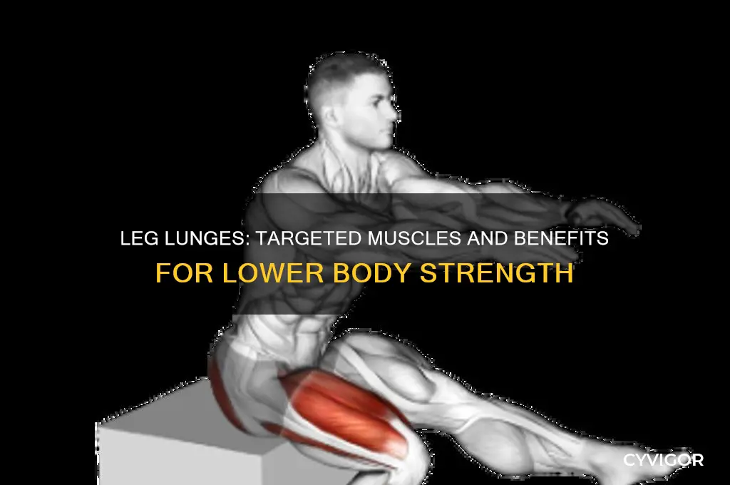 Leg Lunges: Targeted Muscles And Benefits For Lower Body Strength | CyVigor
