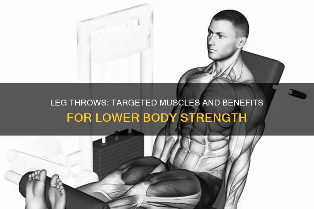 Leg Throws: Targeted Muscles And Benefits For Lower Body Strength | CyVigor