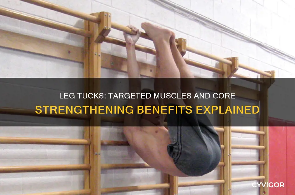 Leg Tucks: Targeted Muscles And Core Strengthening Benefits Explained ...