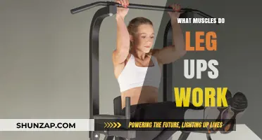 Leg Abductions: Targeted Muscles And Benefits For Stronger Hips | CyVigor
