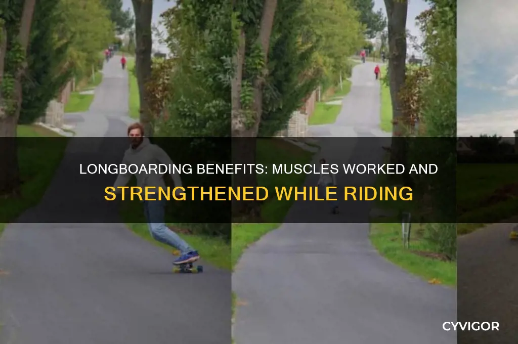 Longboarding Benefits: Muscles Worked And Strengthened While Riding ...