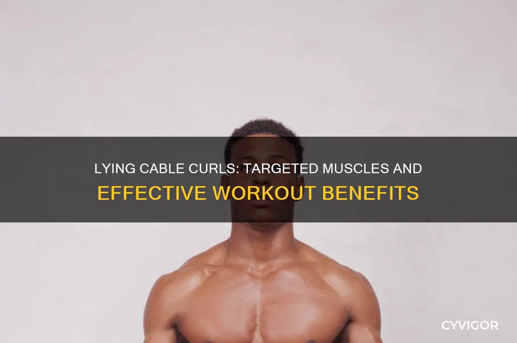Lying Cable Curls: Targeted Muscles And Effective Workout Benefits ...