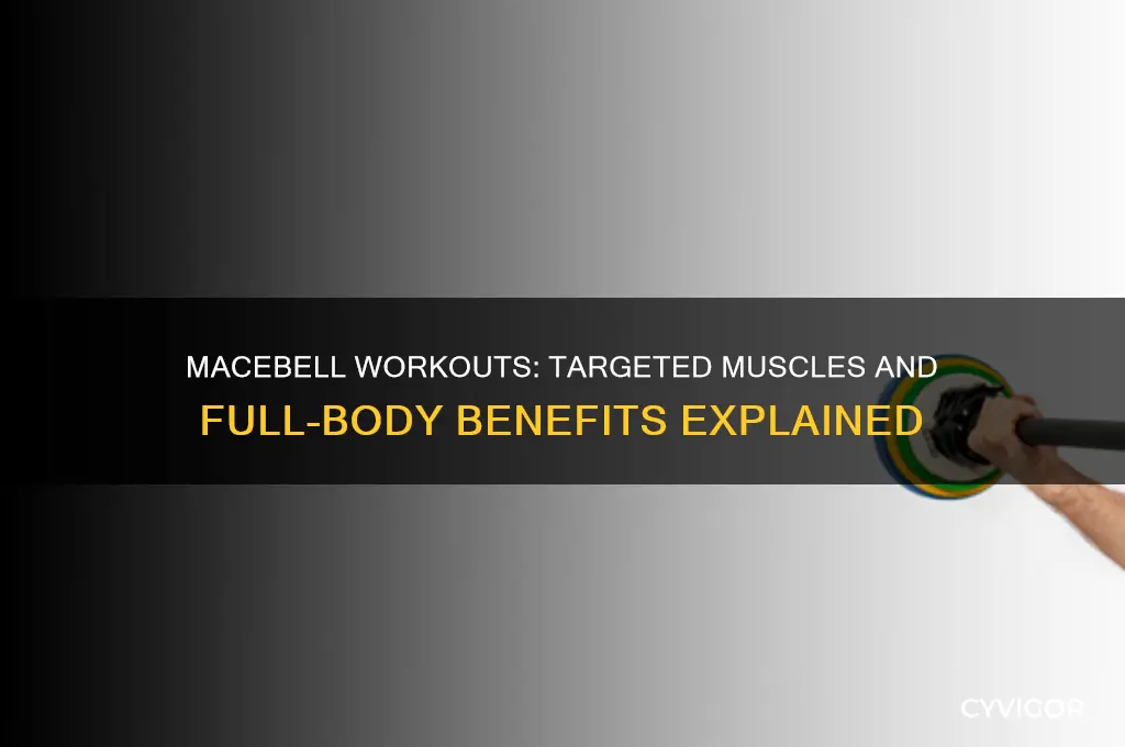 Macebell Workouts: Targeted Muscles And Full-Body Benefits Explained ...