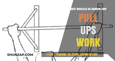 Neck Bridges: Unlocking Strength In Your Neck And Upper Back Muscles ...