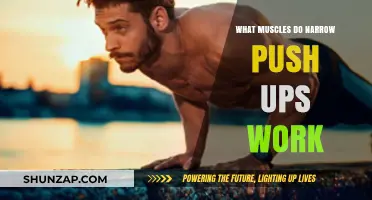 Military Push-Ups: Targeted Muscles And Full-Body Benefits Explained ...