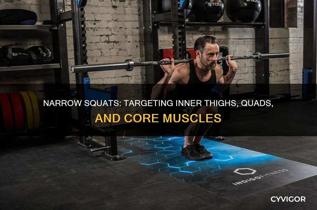 Narrow Squats: Targeting Inner Thighs, Quads, And Core Muscles | CyVigor