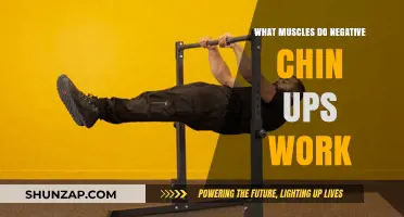 Negative Pull-Ups: Targeted Muscles And Strength-Building Benefits ...