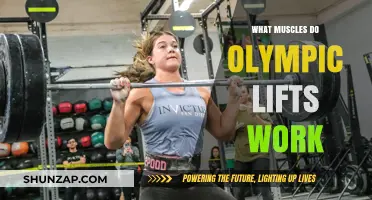 Open The Gate Exercise: Muscles Engaged And Strengthened Explained ...