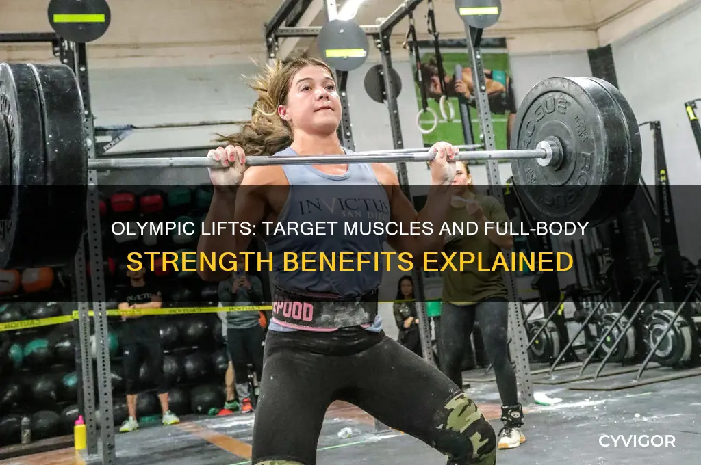 Olympic Lifts: Target Muscles And Full-Body Strength Benefits Explained ...