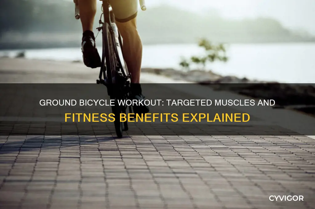 Ground Bicycle Workout: Targeted Muscles And Fitness Benefits Explained ...