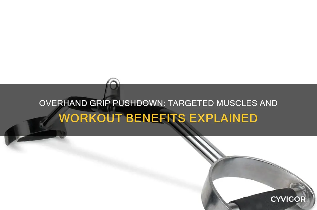 Overhand Grip Pushdown: Targeted Muscles And Workout Benefits Explained ...