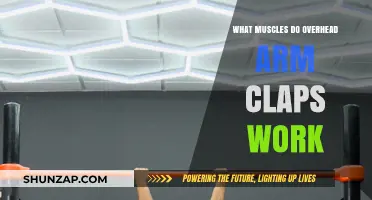 P90x Legs And Back Workout: Targeted Muscles Explained | CyVigor