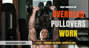 Open The Gate Exercise: Muscles Engaged And Strengthened Explained ...