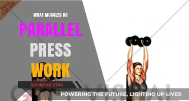 Pallof Press Muscles: Core, Shoulders, And Stability Benefits Explained ...
