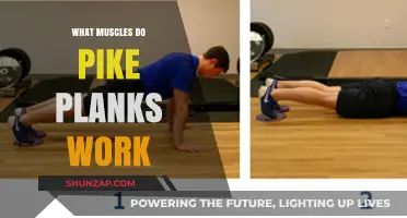 Plank Shoulder Taps: Muscles Worked And Benefits Explained | CyVigor