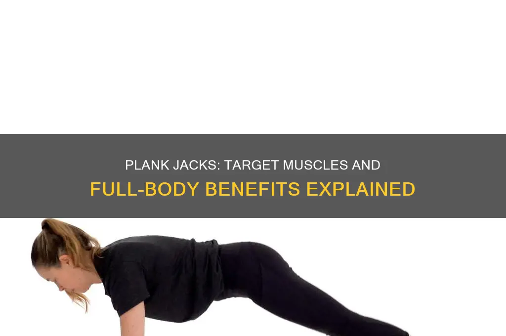 Plank Jacks: Target Muscles And Full-Body Benefits Explained | CyVigor