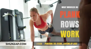 Plank Up Downs: Targeted Muscles And Full-Body Benefits Explained | CyVigor