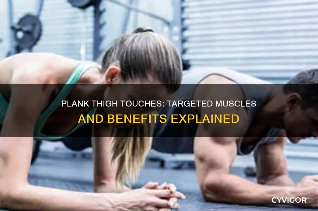 Plank Thigh Touches: Targeted Muscles And Benefits Explained | CyVigor