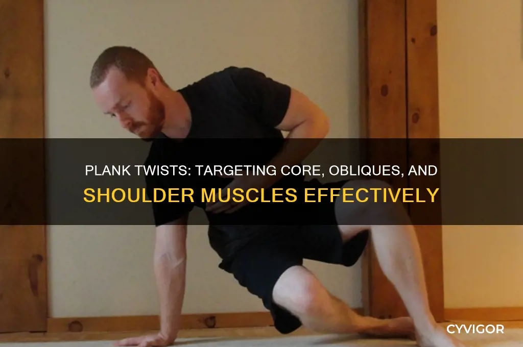 Plank Twists: Targeting Core, Obliques, And Shoulder Muscles ...