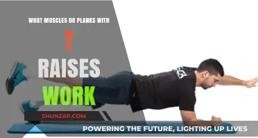 Plank Muscles Worked: Visual Guide To Core And Body Engagement | CyVigor
