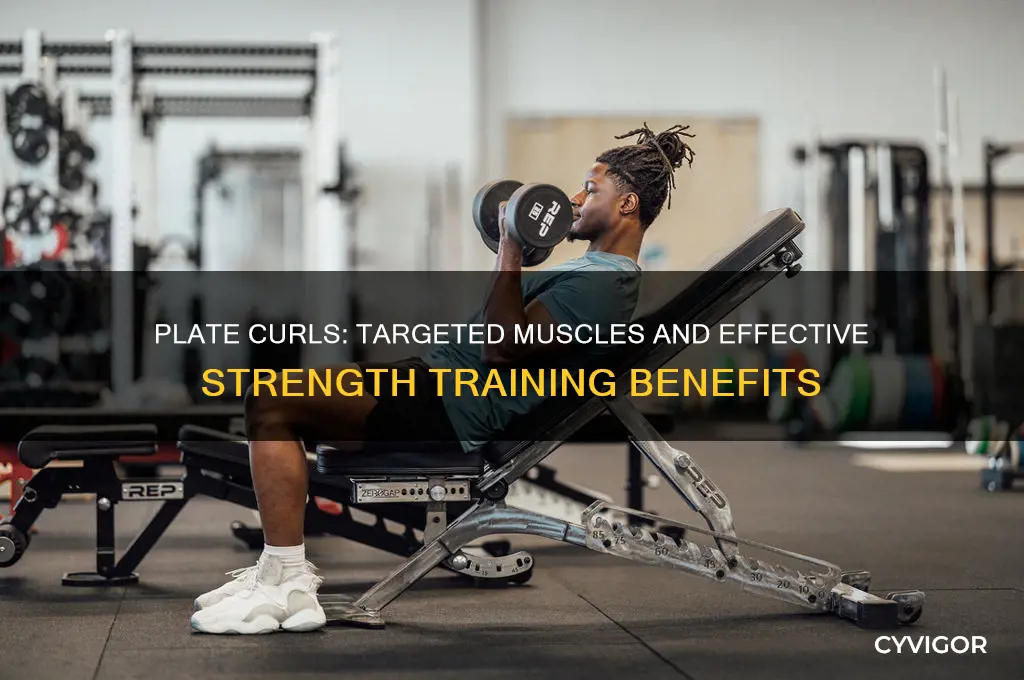 Plate Curls: Targeted Muscles And Effective Strength Training Benefits ...