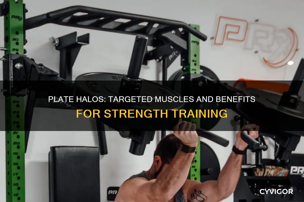 Plate Halos: Targeted Muscles And Benefits For Strength Training | CyVigor