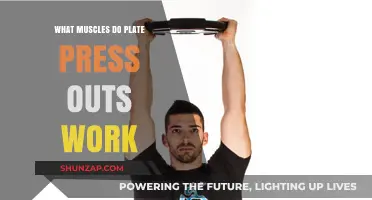 Plank Pull-Throughs: Targeted Muscles And Full-Body Benefits Explained ...