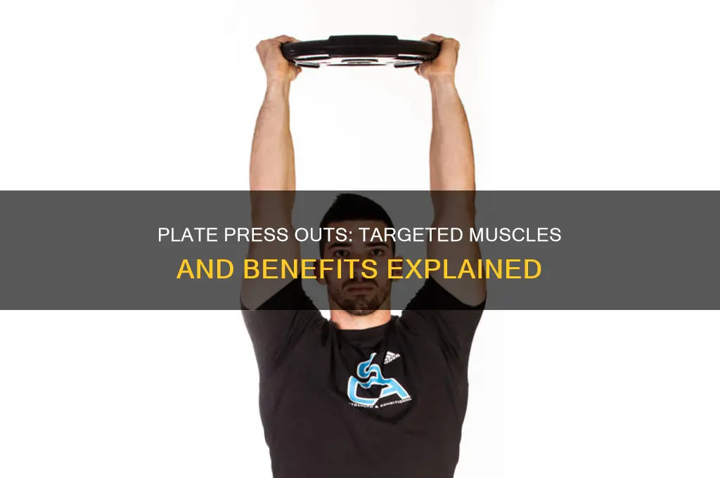 Plate Press Outs: Targeted Muscles And Benefits Explained | CyVigor