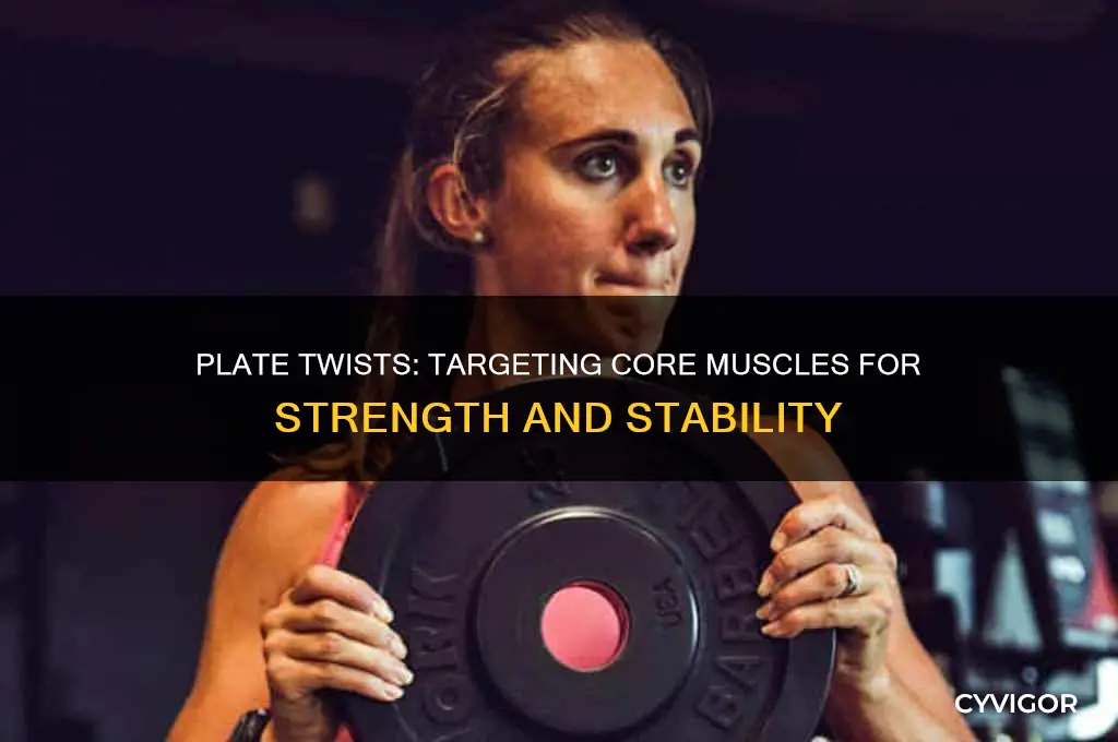 Plate Twists: Targeting Core Muscles For Strength And Stability | CyVigor