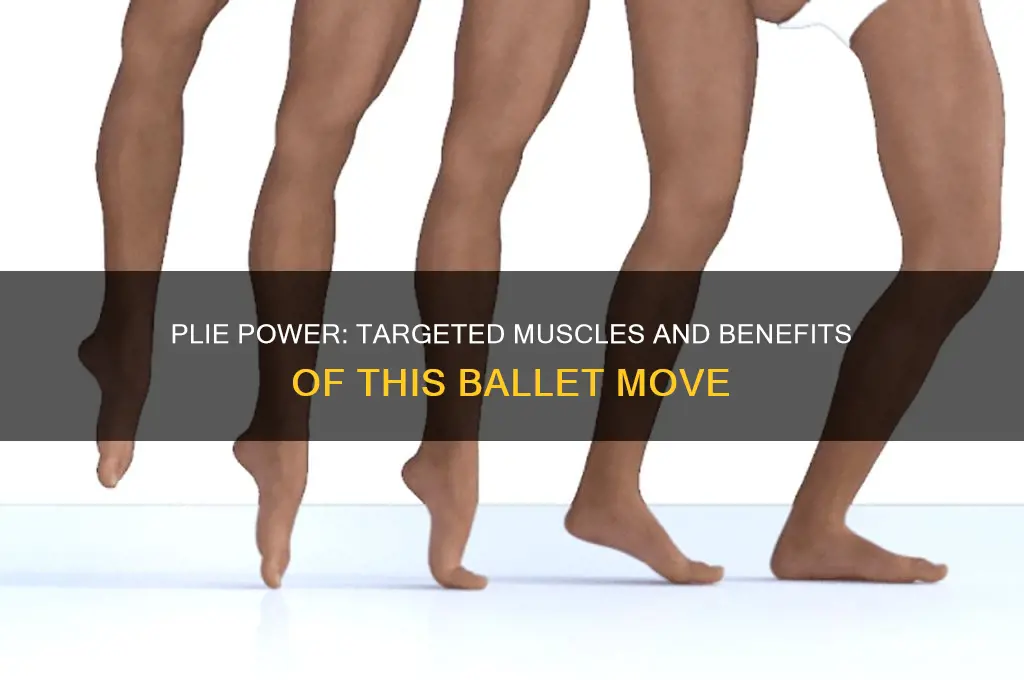 Plie Power: Targeted Muscles And Benefits Of This Ballet Move | CyVigor