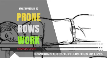 Prone T's: Targeted Muscles And Benefits For Upper Back Strength | CyVigor