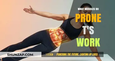 Prone Y's Exercise: Targeted Muscles And Benefits Explained | CyVigor