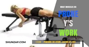 Prone Row Muscles: Targeted Back, Shoulder, And Core Engagement ...
