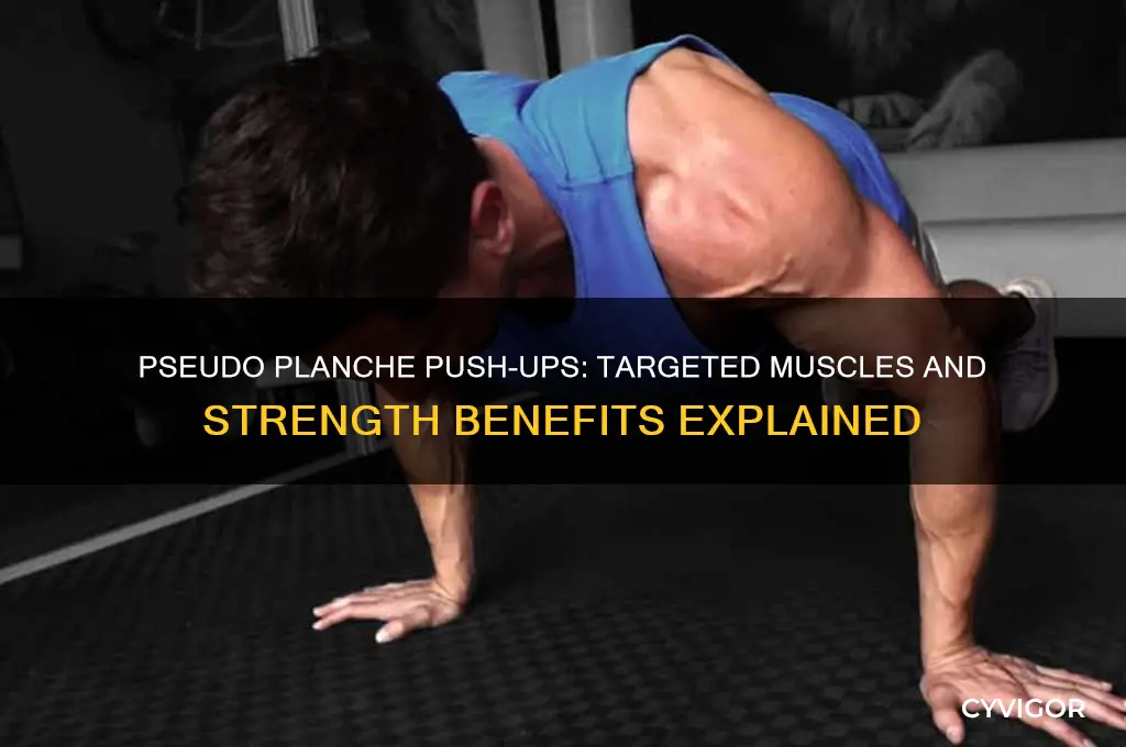 Pseudo Planche Push-Ups: Targeted Muscles And Strength Benefits ...