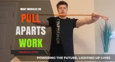 Pull-Up Muscles Explained: Visual Guide To Targeted Strength Training ...