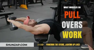 Prone T's: Targeted Muscles And Benefits For Upper Back Strength | CyVigor