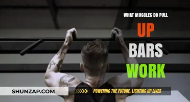 Pull-Up Muscles Explained: Visual Guide To Targeted Strength Training ...