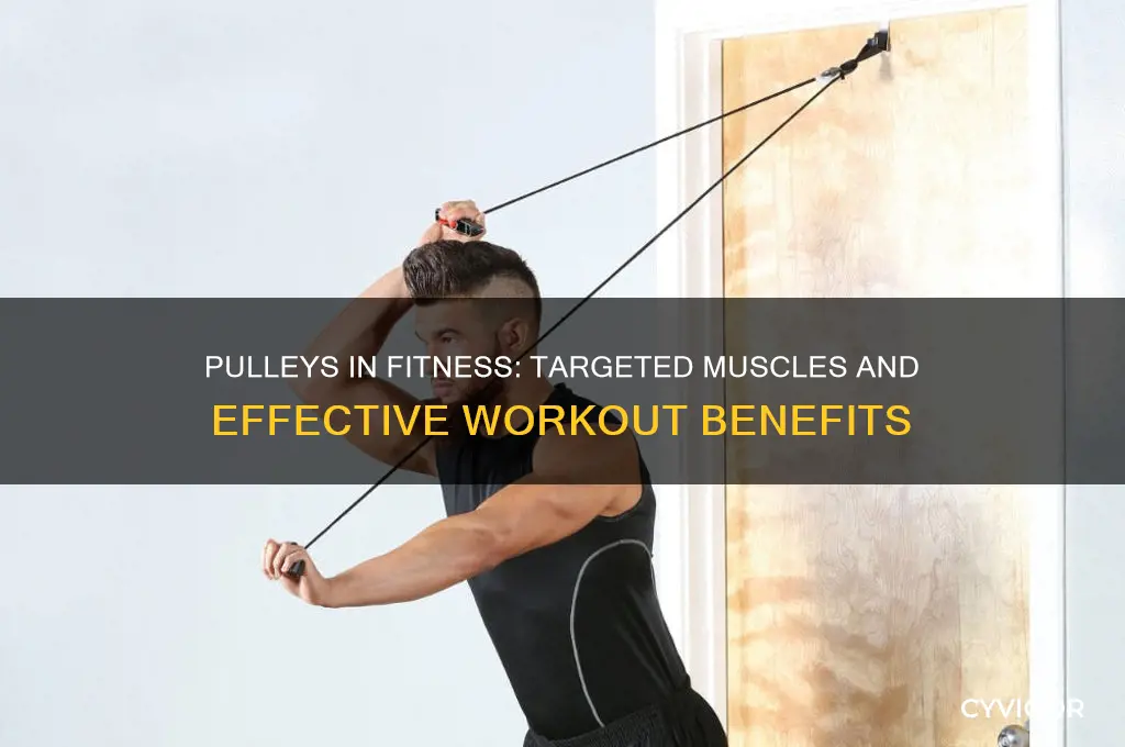Pulleys In Fitness: Targeted Muscles And Effective Workout Benefits ...