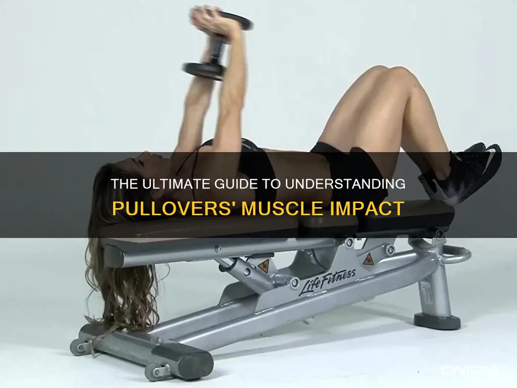 The Ultimate Guide To Understanding Pullovers' Muscle Impact | CyVigor