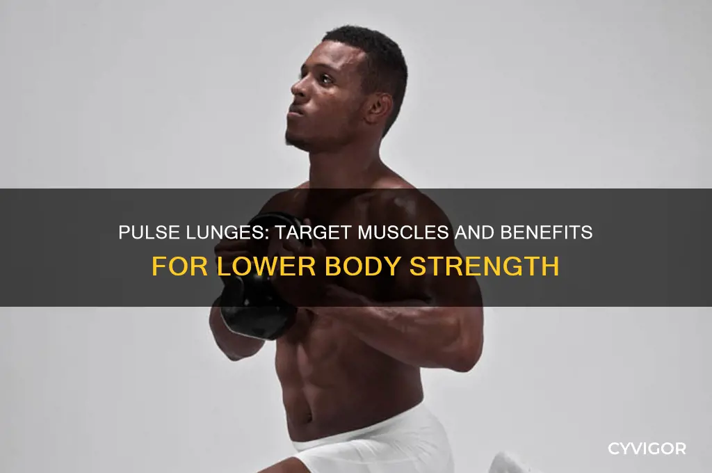 Pulse Lunges: Target Muscles And Benefits For Lower Body Strength | CyVigor