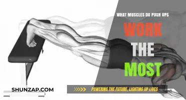 Pull-Up Muscles Explained: Visual Guide To Targeted Strength Training ...