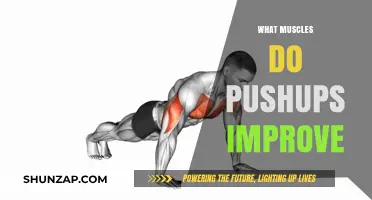 Push-Ups: Which Muscles Are Activated? | CyVigor