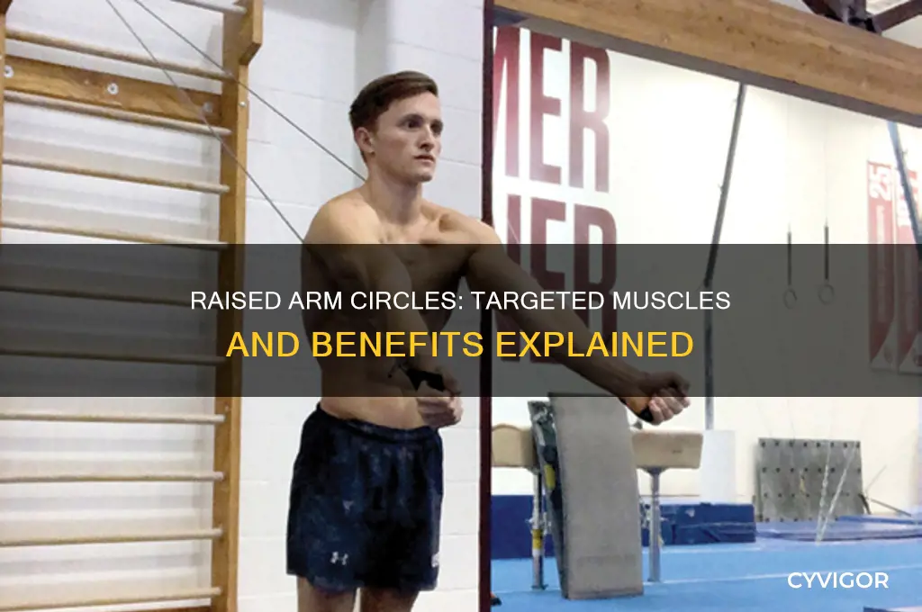 Raised Arm Circles: Targeted Muscles And Benefits Explained | CyVigor