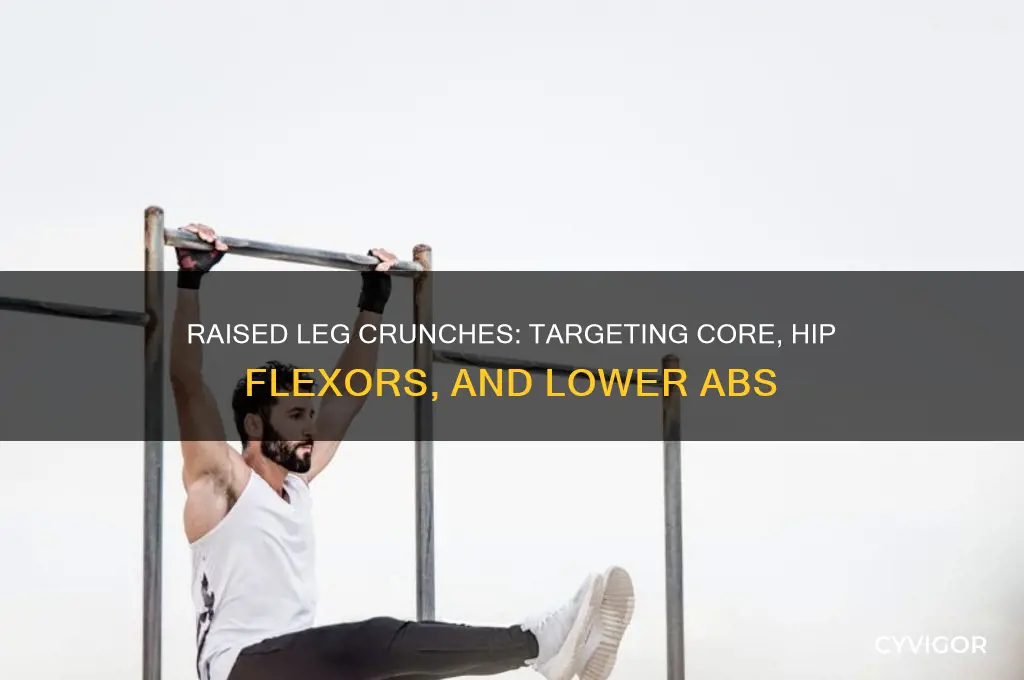 Raised Leg Crunches: Targeting Core, Hip Flexors, And Lower Abs | CyVigor