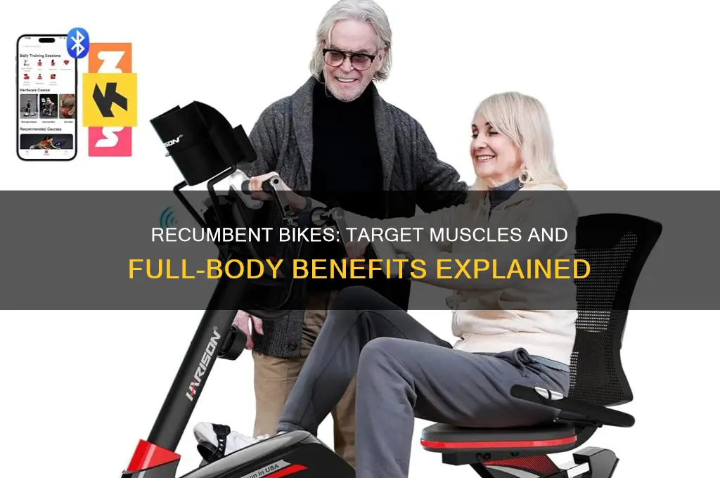 Recumbent Bikes: Target Muscles And Full-Body Benefits Explained | CyVigor
