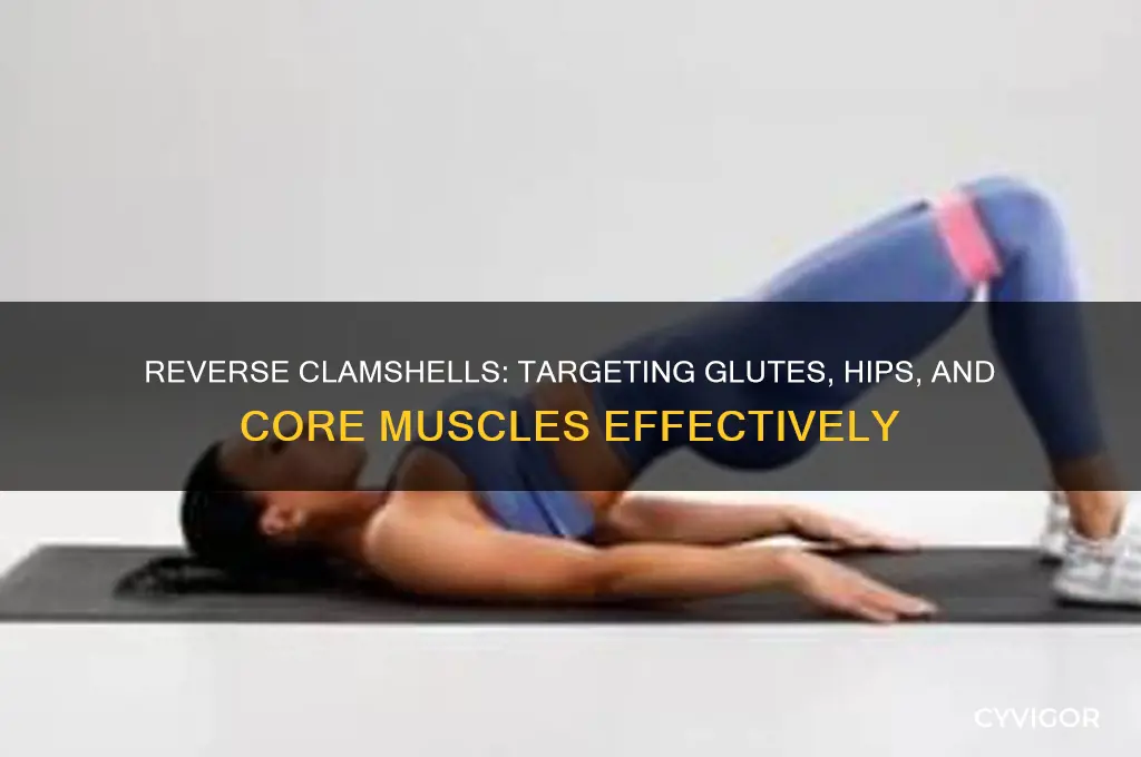 Reverse Clamshells: Targeting Glutes, Hips, And Core Muscles ...