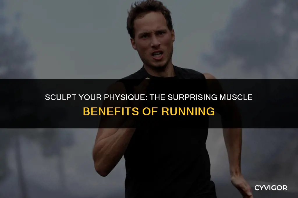 Sculpt Your Physique: The Surprising Muscle Benefits Of Running | CyVigor
